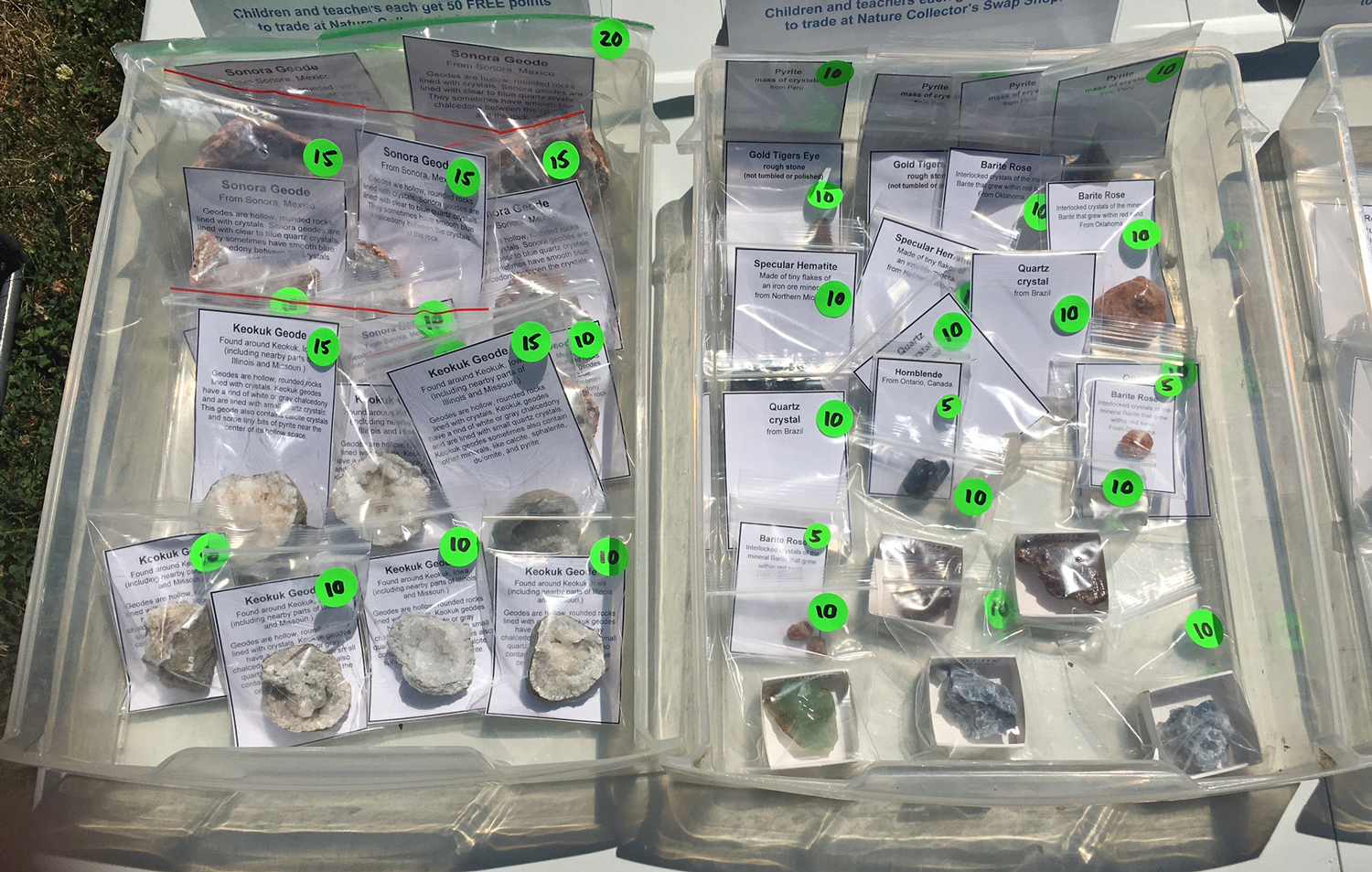 Nature Collector’s Swap Shop was open June 15-20, 2021 – Nature ...