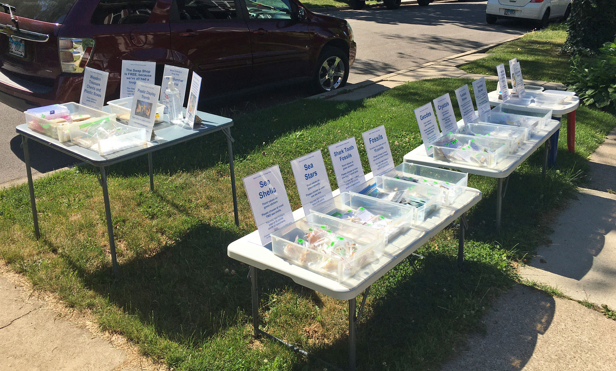 Nature Collector’s Swap Shop was open June 15-20, 2021 – Nature ...