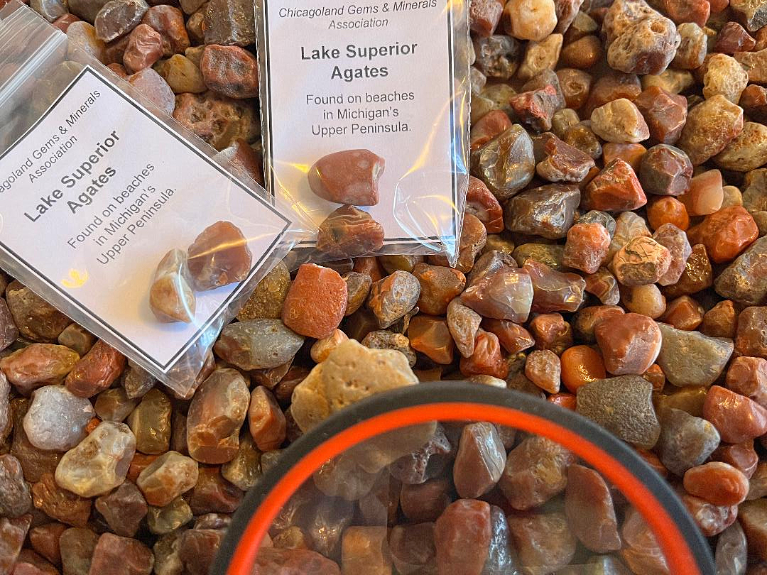 Beachcombing on the Great Lakes – Nature Collector's Garden and Nature ...